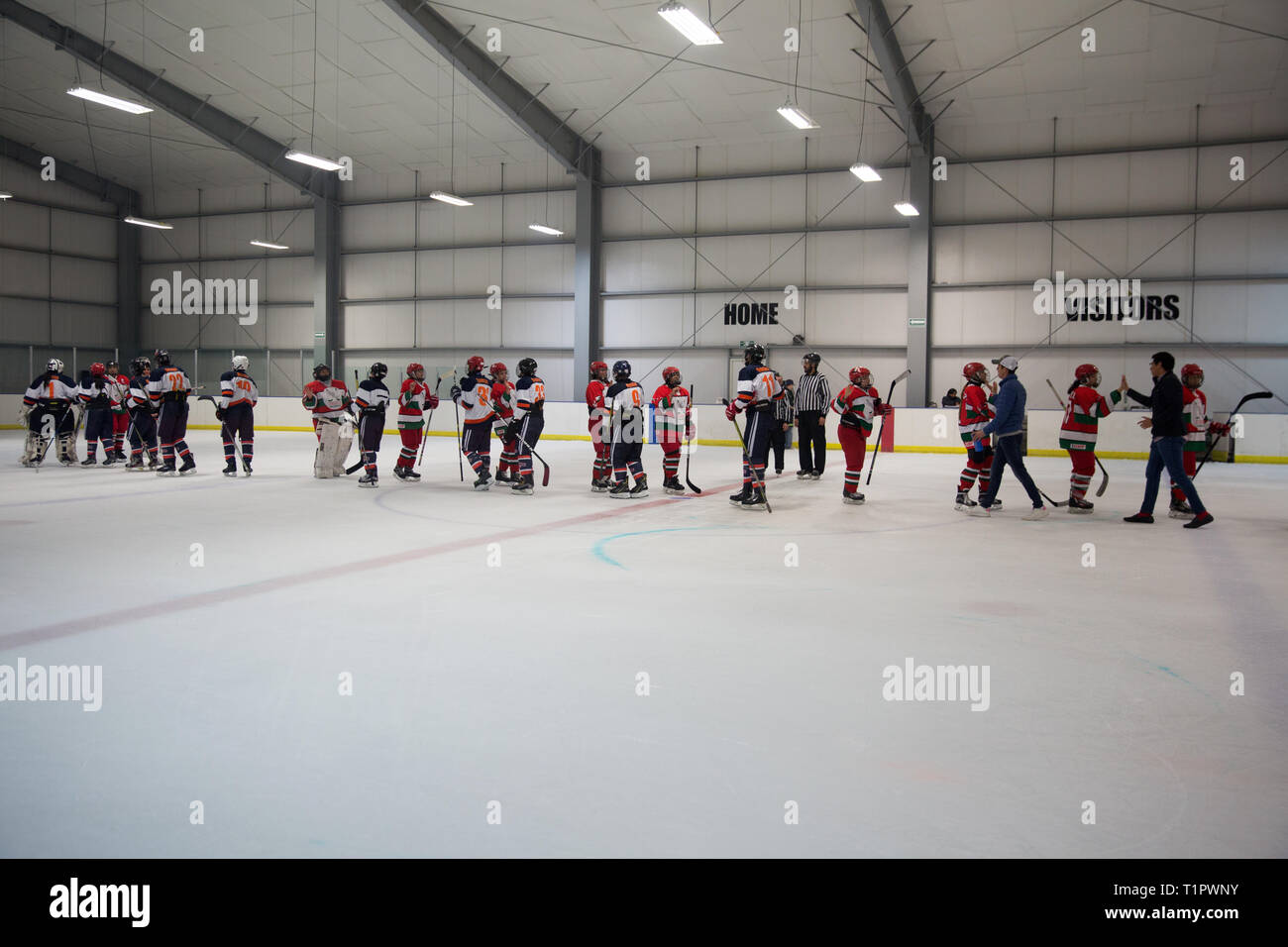 Iihf girls hockey hi-res stock photography and images - Alamy