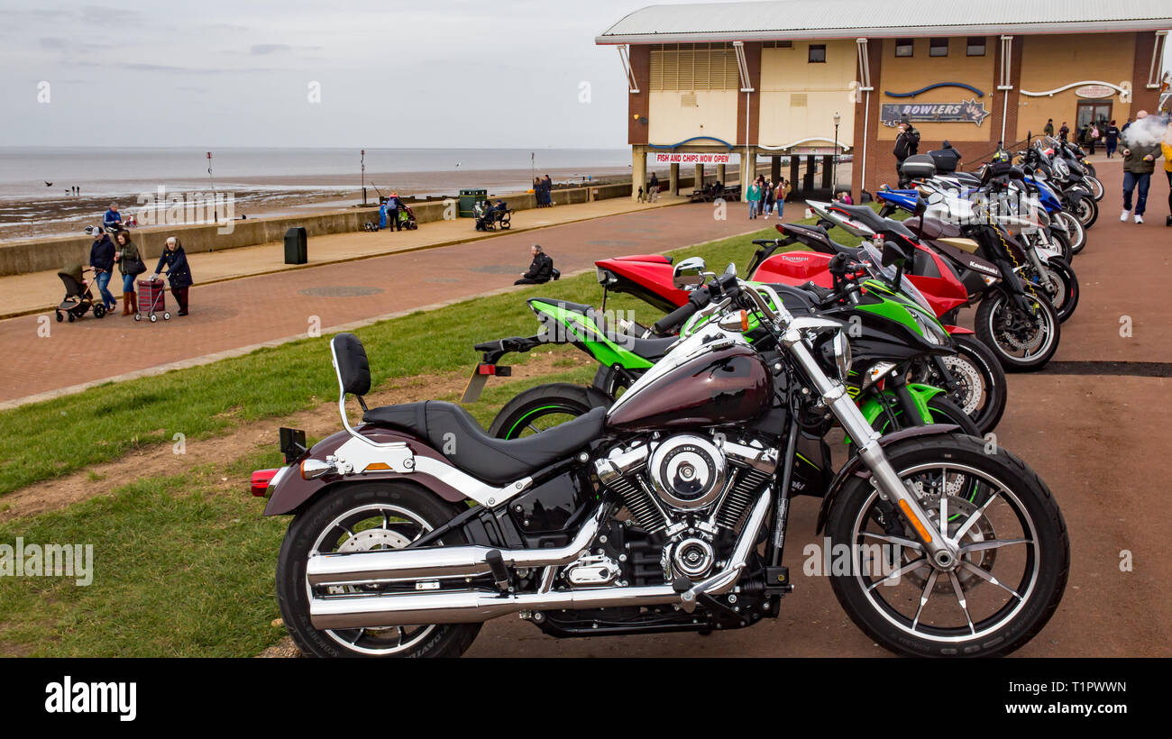A row of motorcycles, including sports bikes, custom bikes, cruisers ...