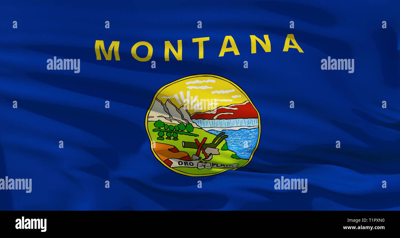 Montana flag pattern on the fabric texture ,vintage style Stock Photo ...