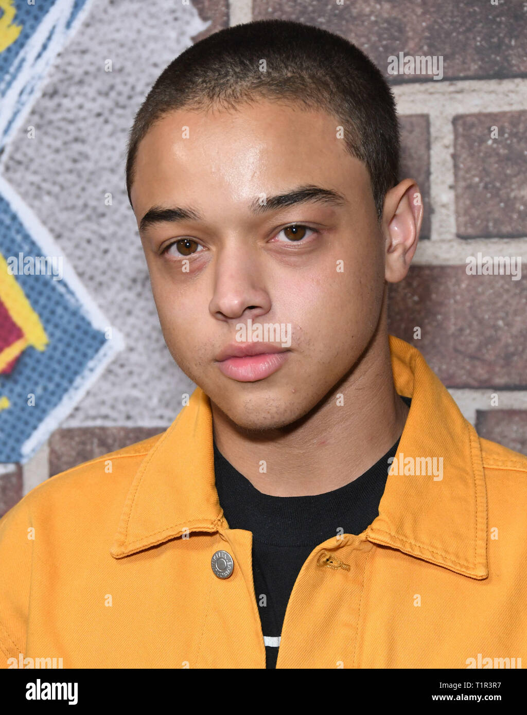 Los Angeles, California, USA. 27th Mar, 2019. 27 March 2019 - Los ...