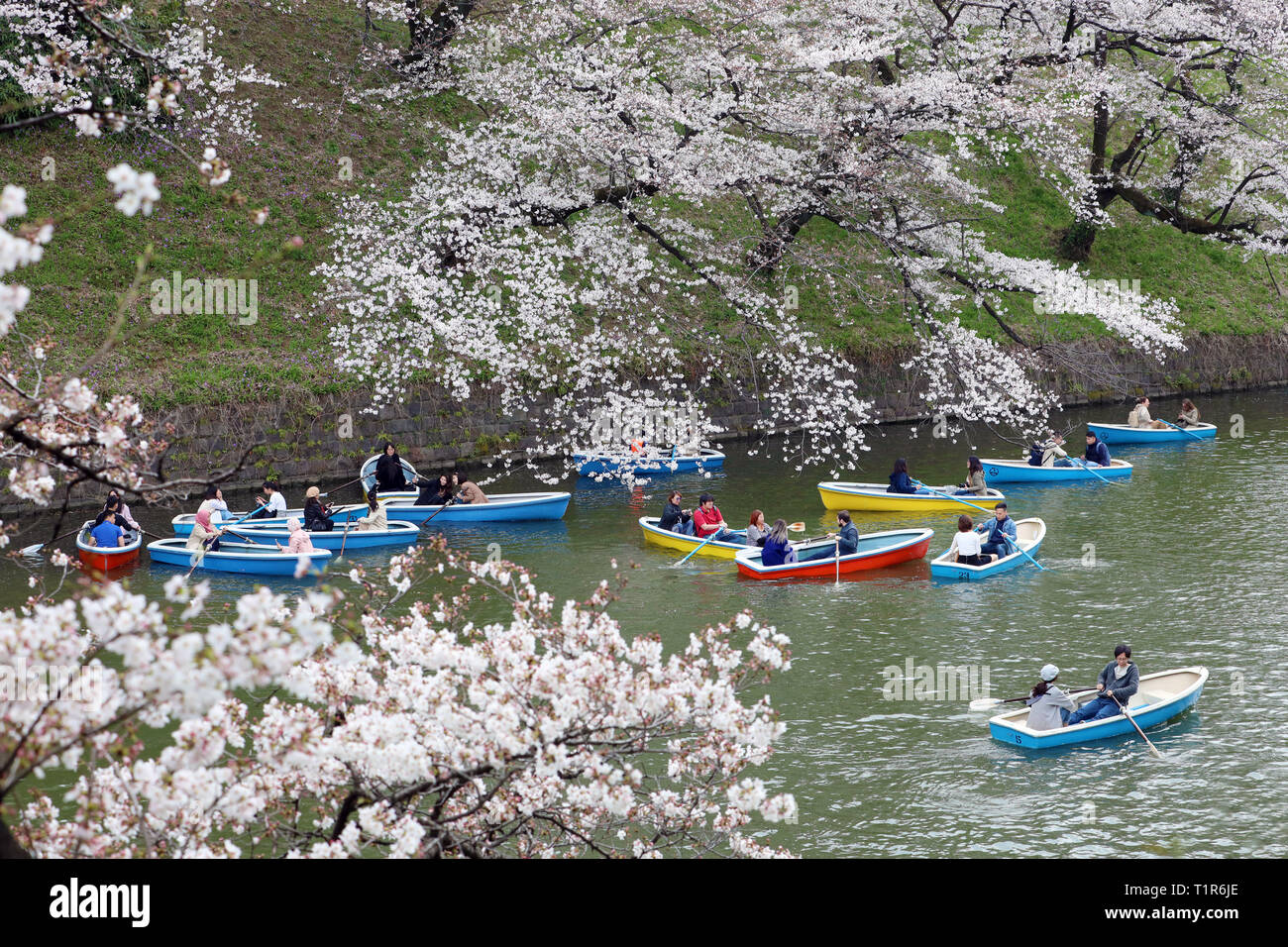 Tokyo, Japan. 28th March 2019. Locals and tourists alike enjoy the ...
