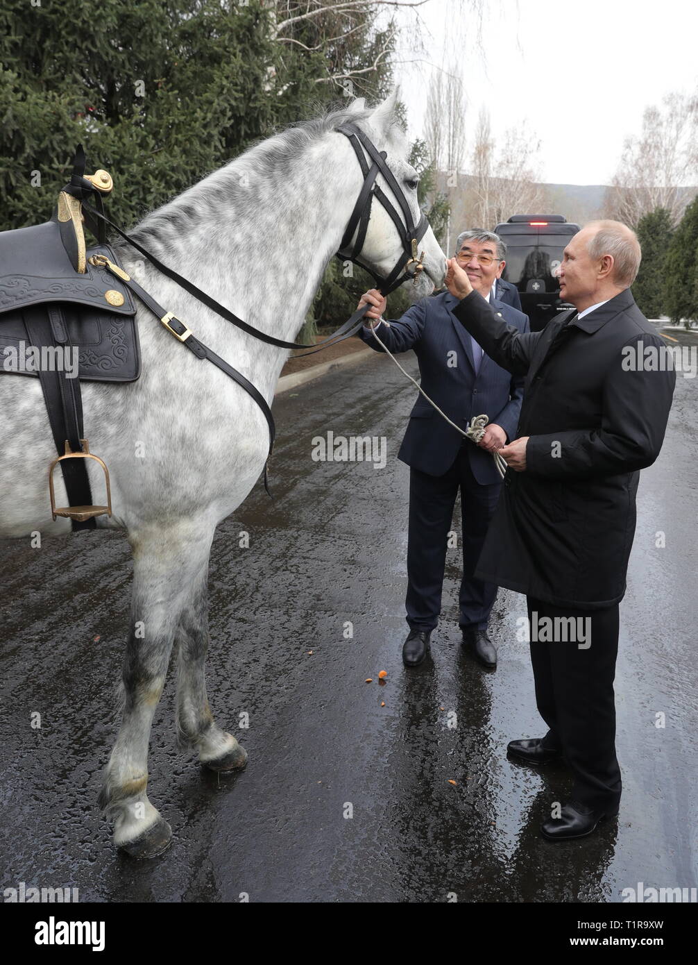 Vladimir Putin Horse High Resolution Stock Photography and Images - Alamy