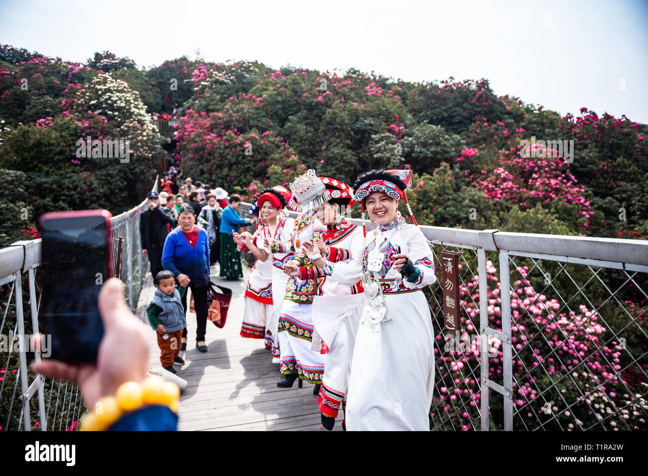 Bijie, China's Guizhou Province. 28th Mar, 2019. People visit an azalea ...