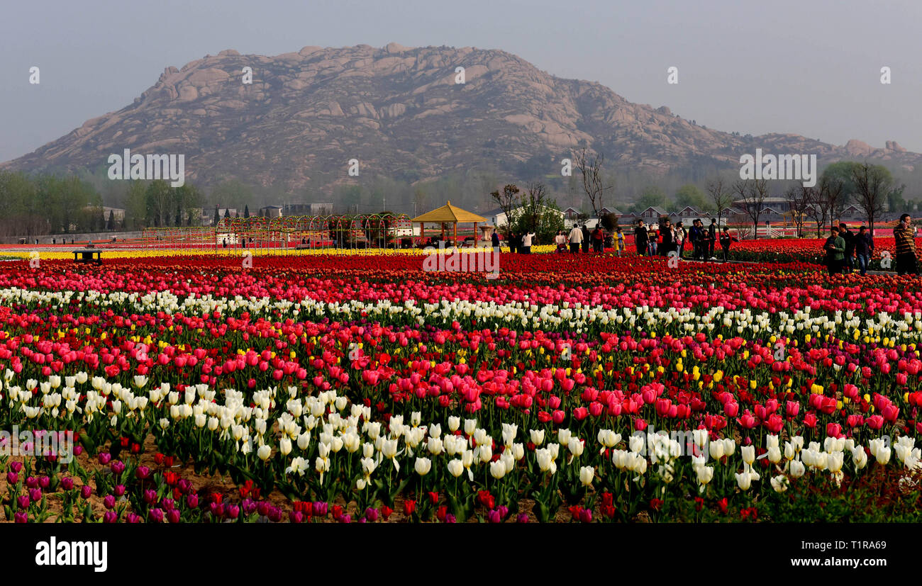 Zhumadian hi-res stock photography and images - Alamy