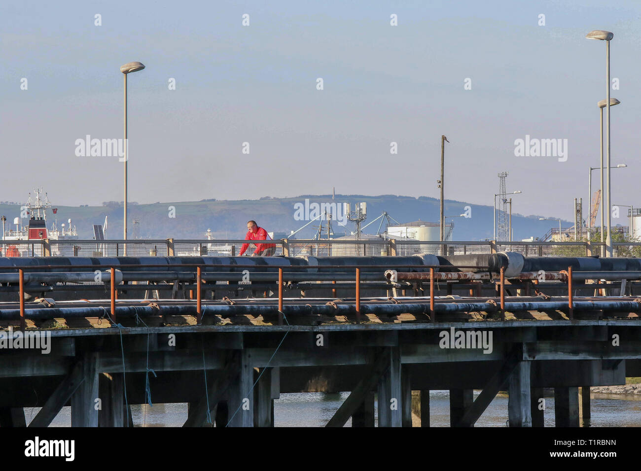 Victoria Park, Belfast, Northern Ireland. 28 March 2019. A warm sunny ...