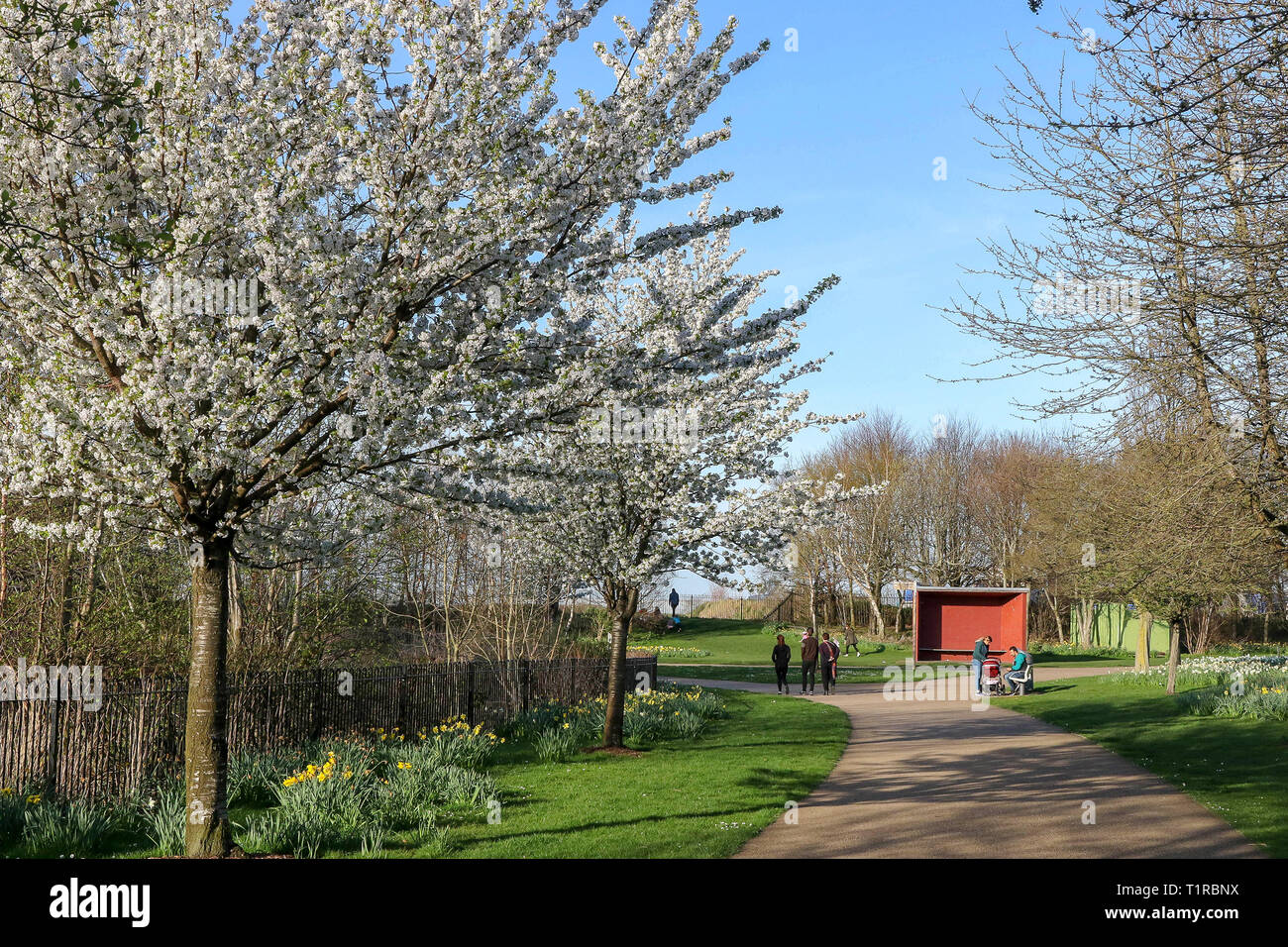 Victoria Park, Belfast, Northern Ireland. 28 March 2019. A warm sunny ...