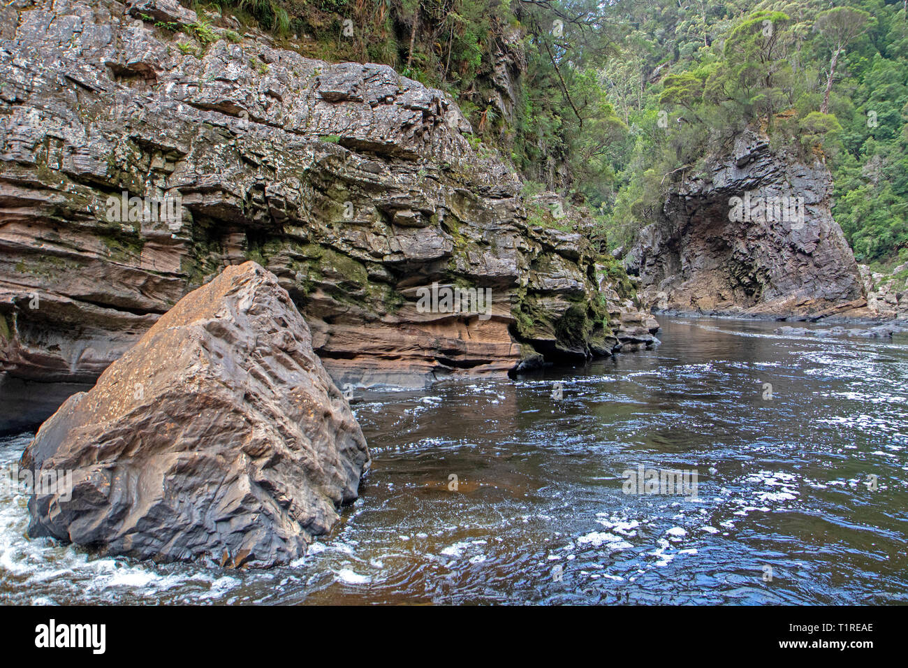 Rock Island Bend on the Franklin River Stock Photo - Alamy