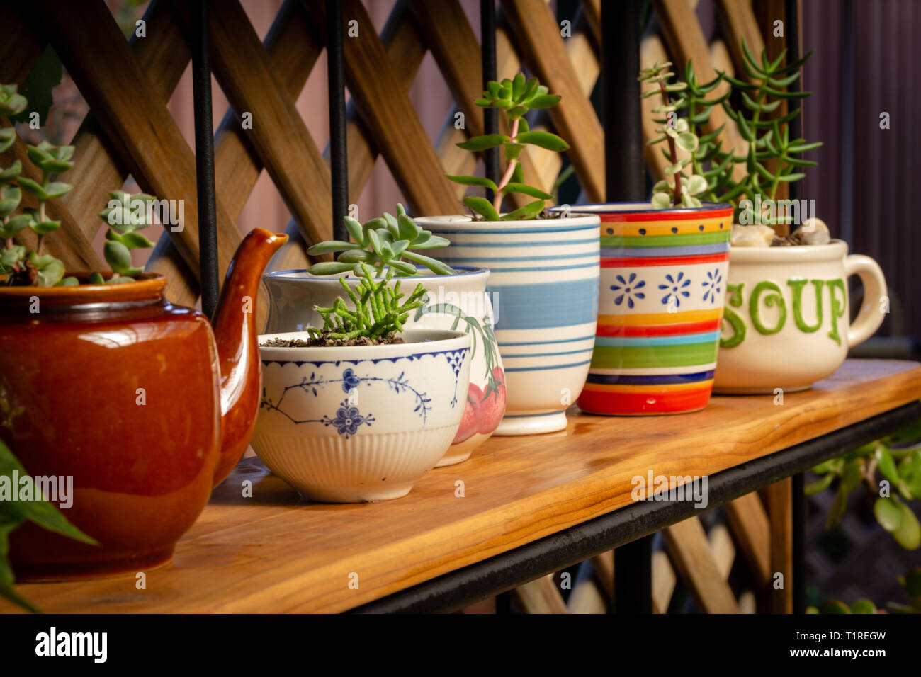 Plastic pots for gardening hi-res stock photography and images - Alamy