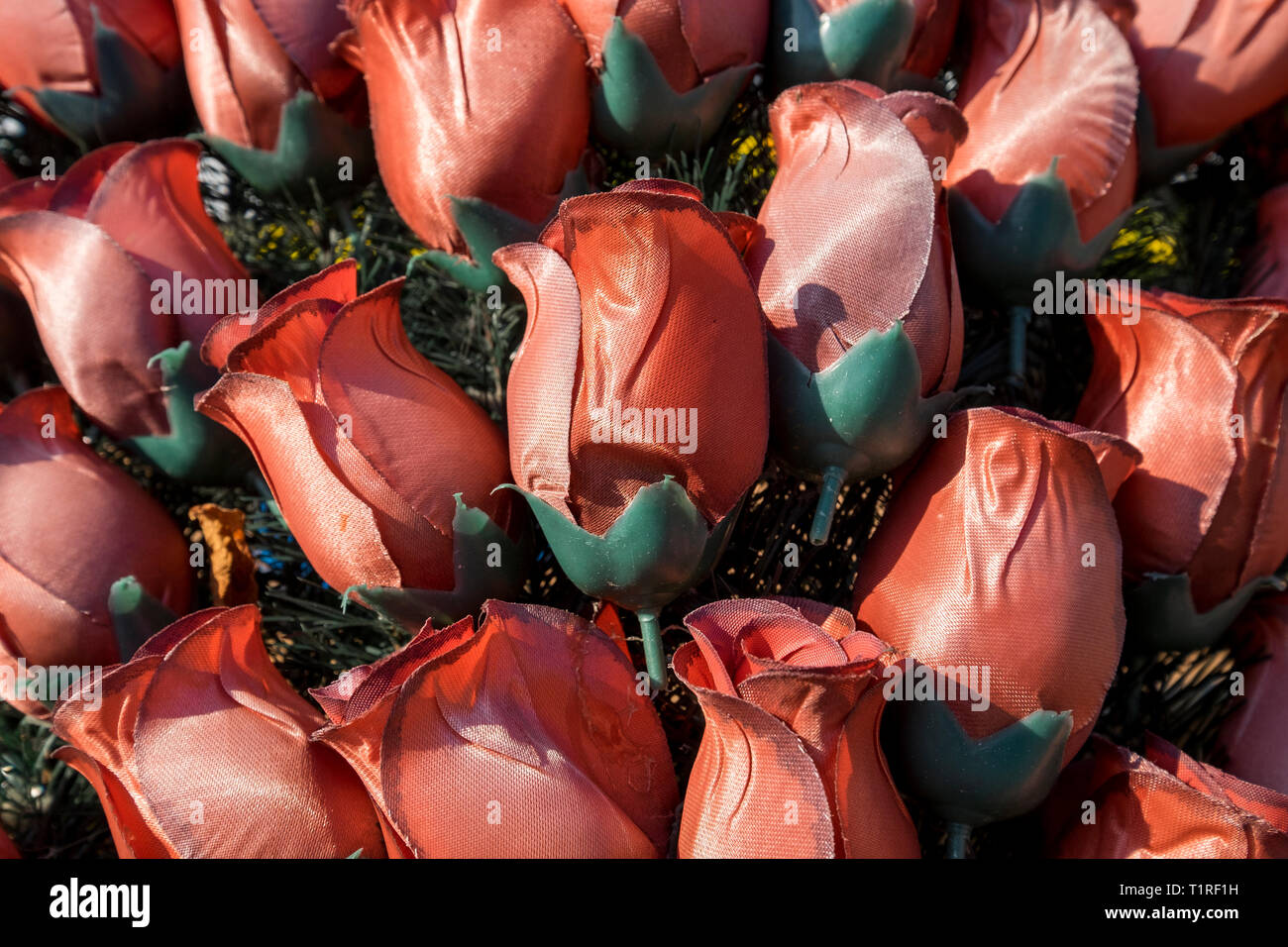 Plastic roses hi-res stock photography and images - Alamy