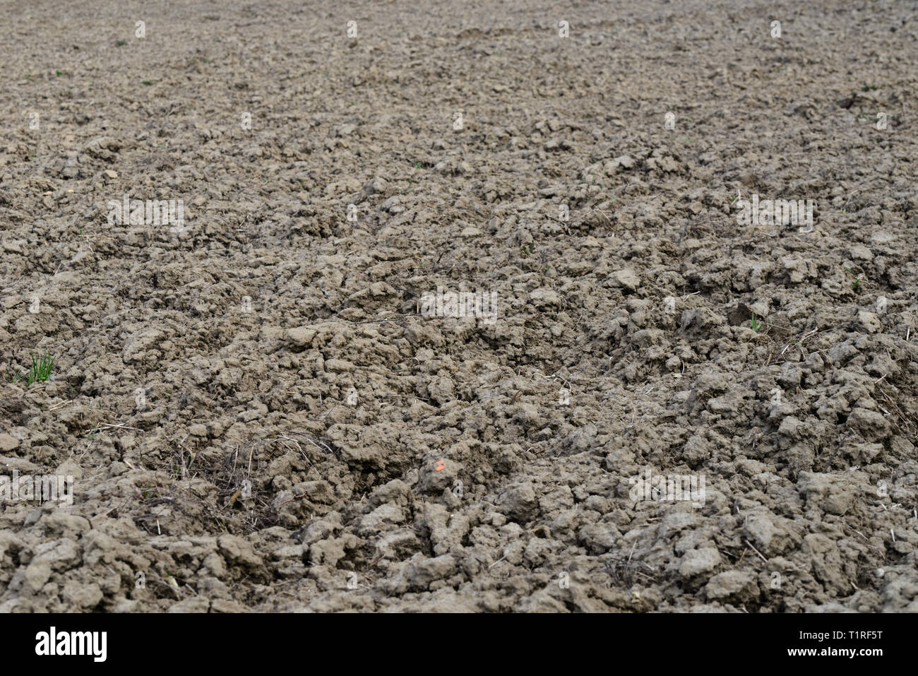 muddy soil field background selective focus Stock Photo - Alamy