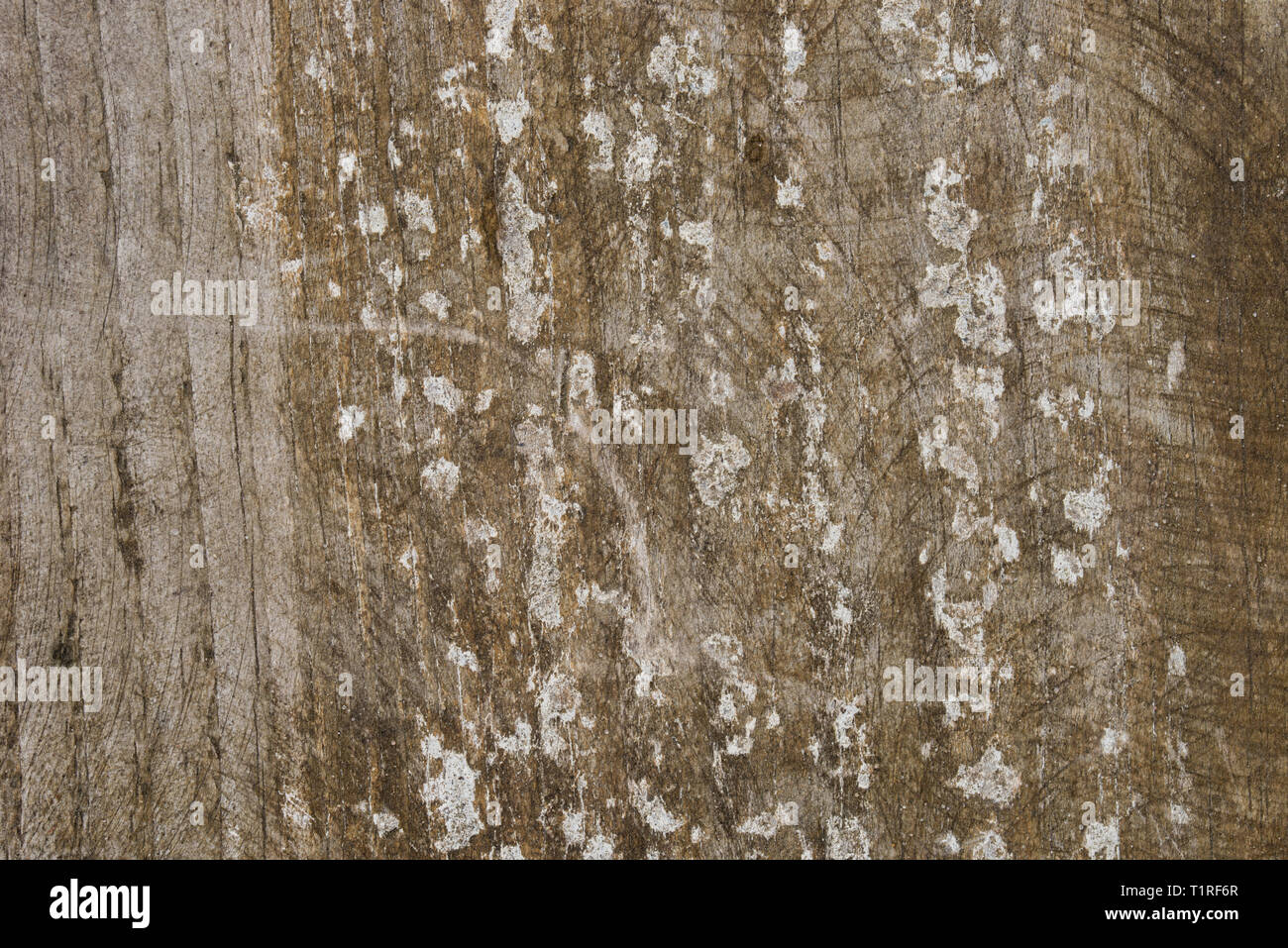 weathered wooden plank background texture macro Stock Photo - Alamy
