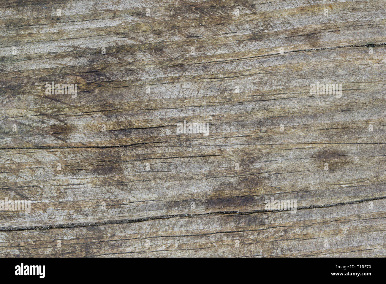 weathered wooden plank background texture macro Stock Photo - Alamy