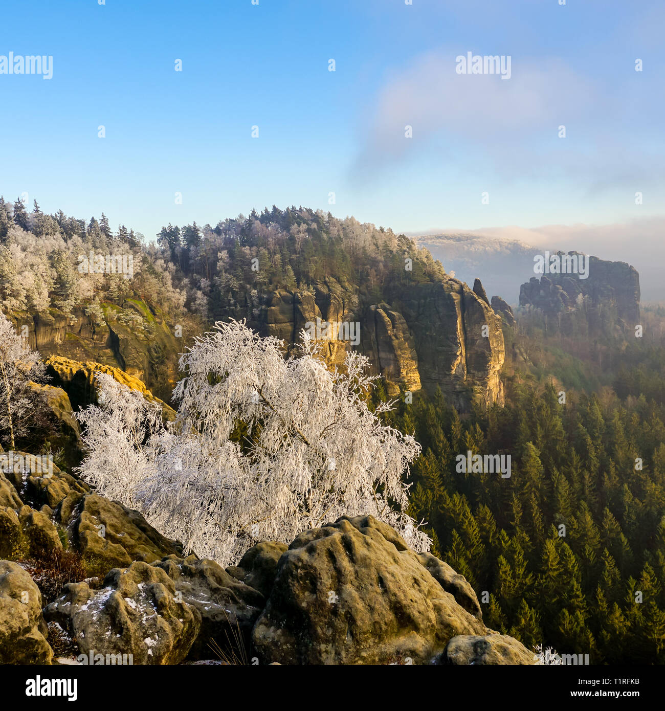 Schmilka climbing hi-res stock photography and images - Alamy