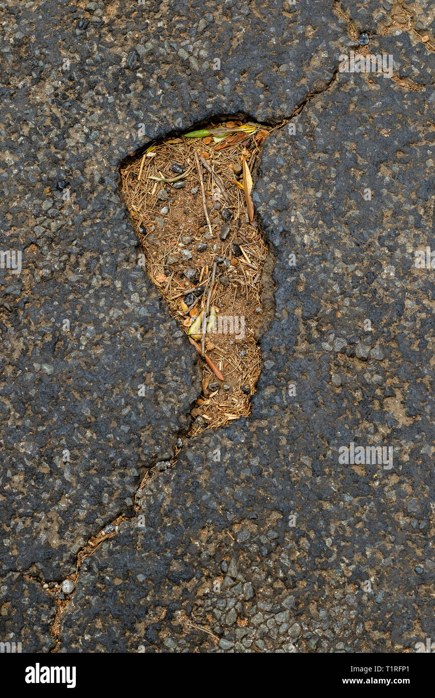 Pieces of tar hi-res stock photography and images - Alamy