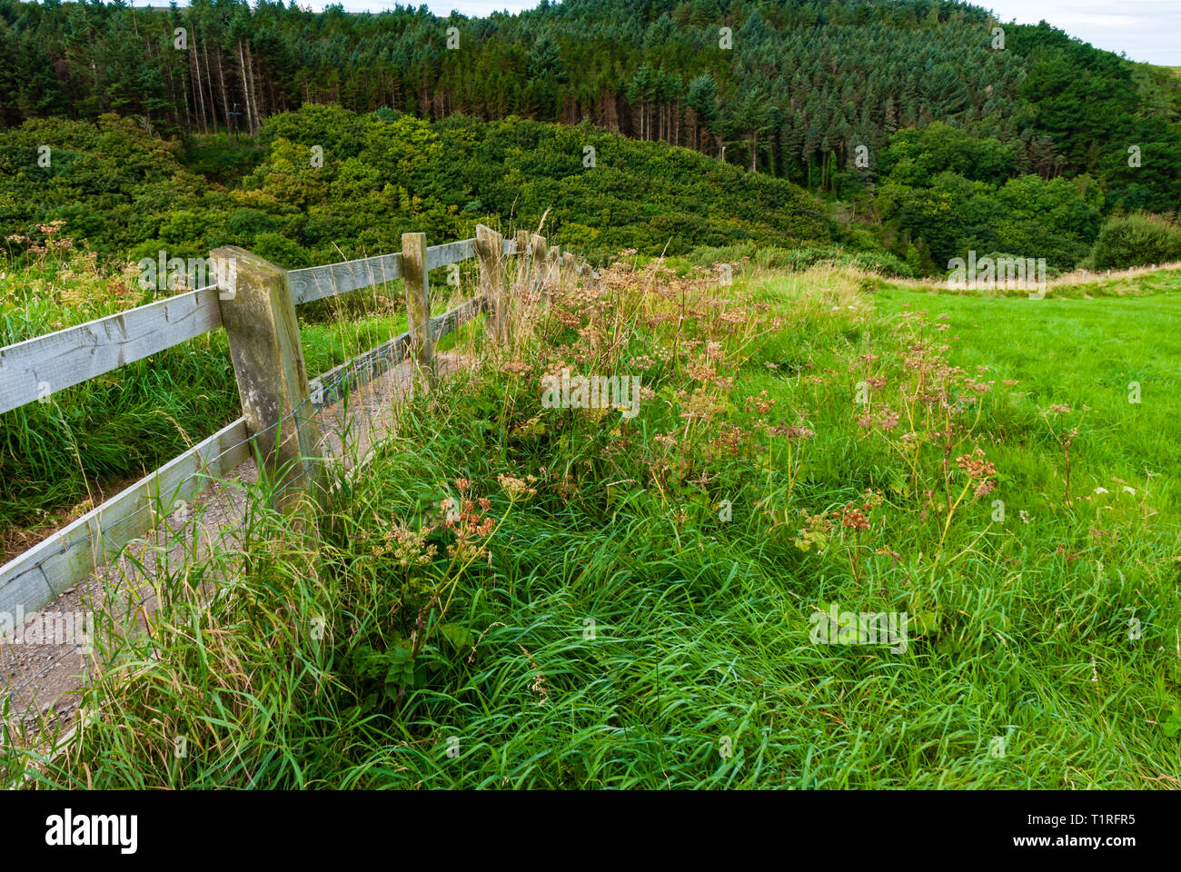 Ireland countryside hi-res stock photography and images - Alamy