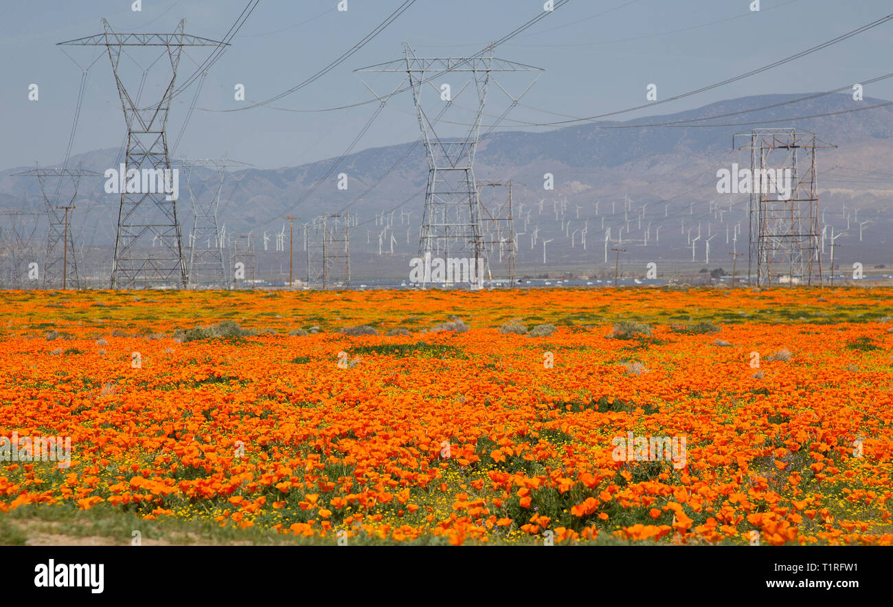 High desert southern california hi-res stock photography and images - Alamy