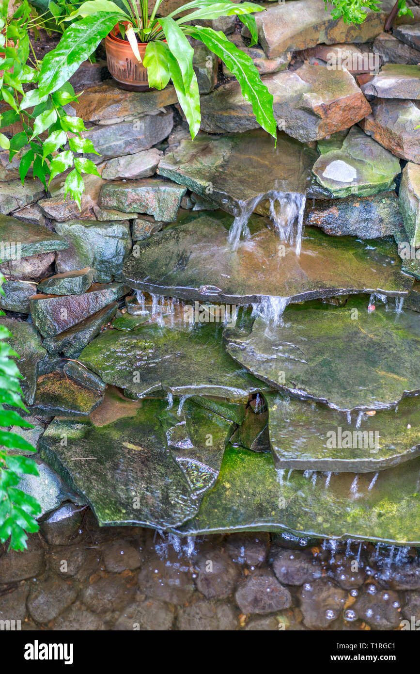 Pond waterfall in a greenhouse Stock Photo - Alamy