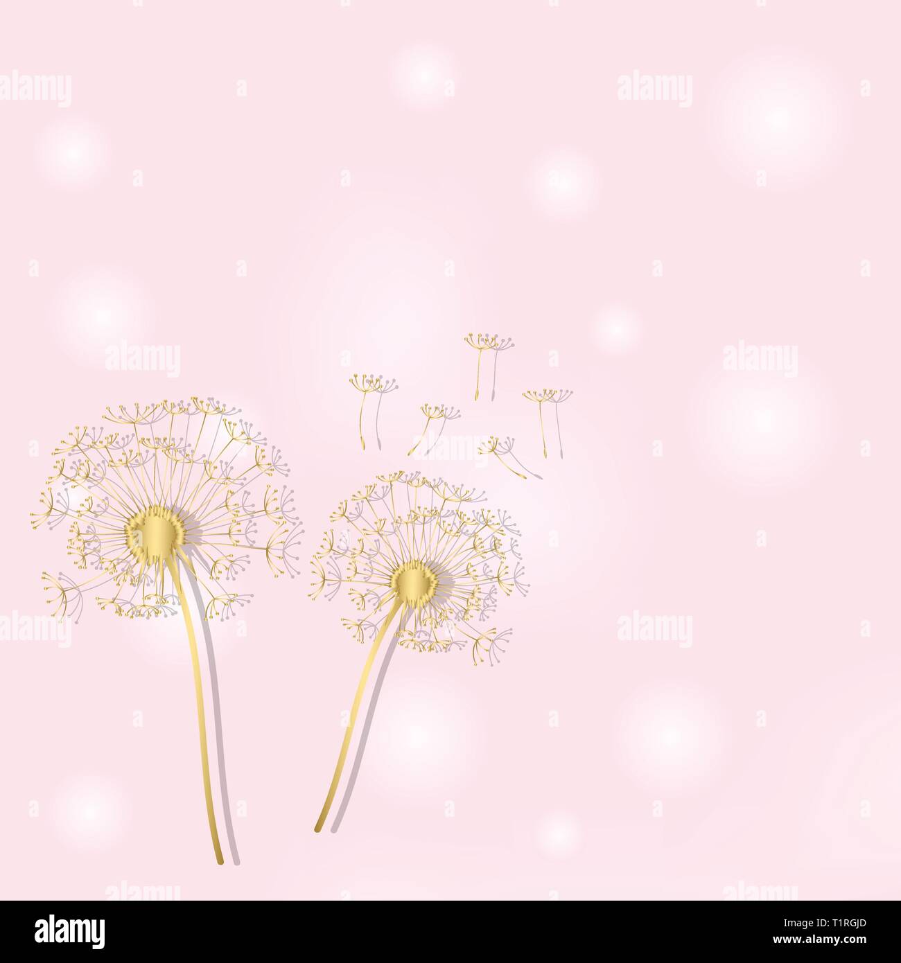 pink vector background with gold dandelion. abstract elegant ...