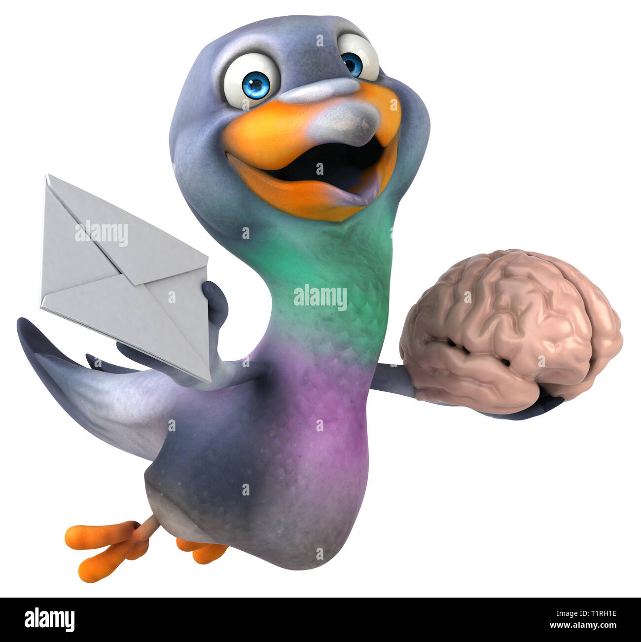 Pigeon brain hi-res stock photography and images - Alamy