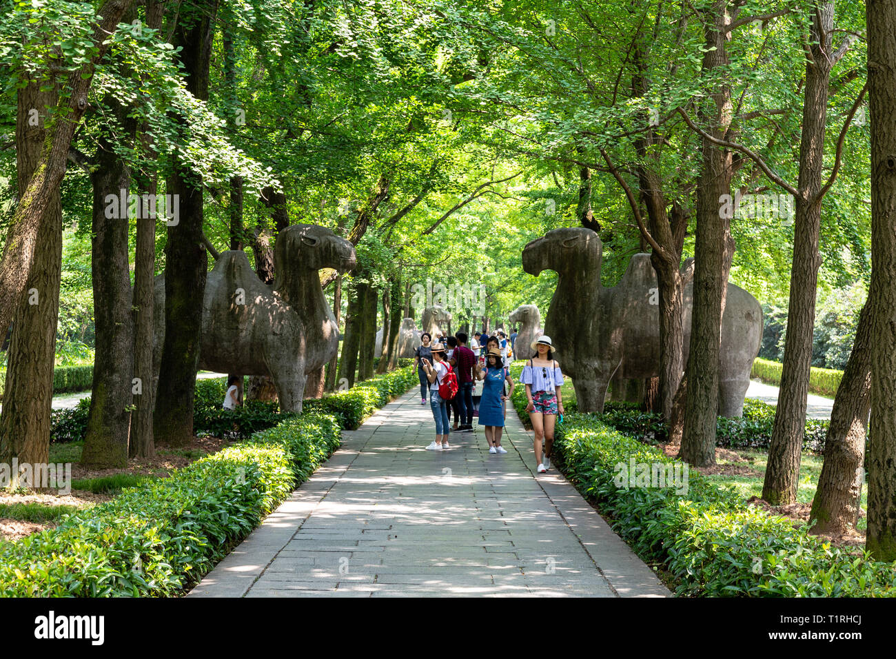 Xiaoling tomb of ming dynasty hi-res stock photography and images - Alamy