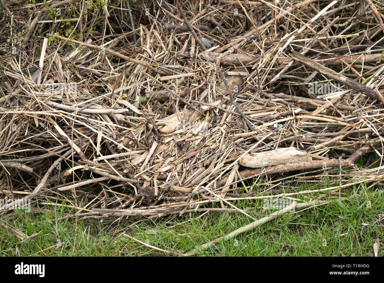 Debris washed up after a flood Stock Photo - Alamy