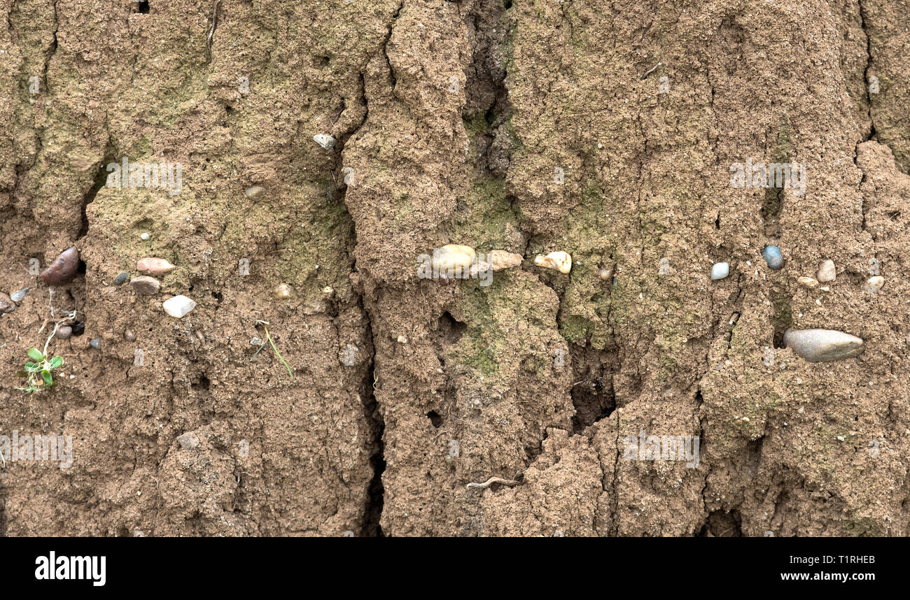 Narrow geological layer band of gravel Stock Photo - Alamy