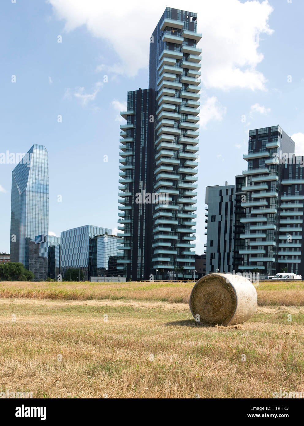 Wheatfield, land art installation by Agnes Denes in Milan Stock Photo ...