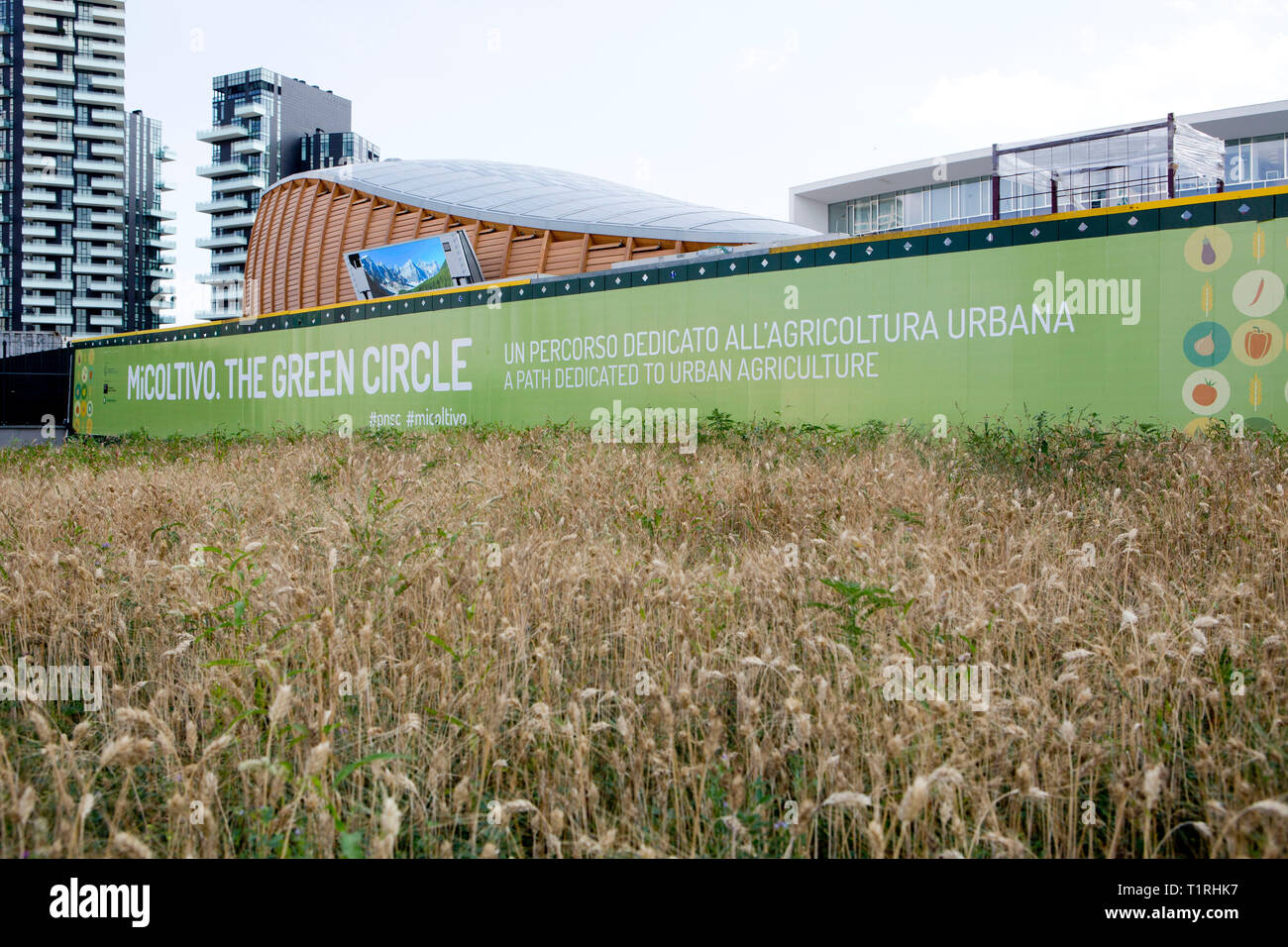 Agnes denes wheatfield hi-res stock photography and images - Alamy