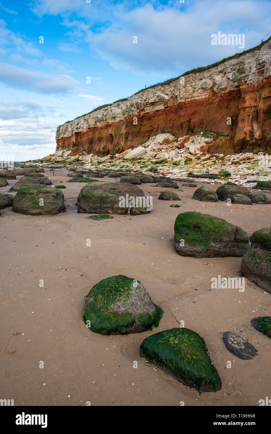 Hunstanton Cliffs near Old Hunstantion on Norfolk coast, where white ...