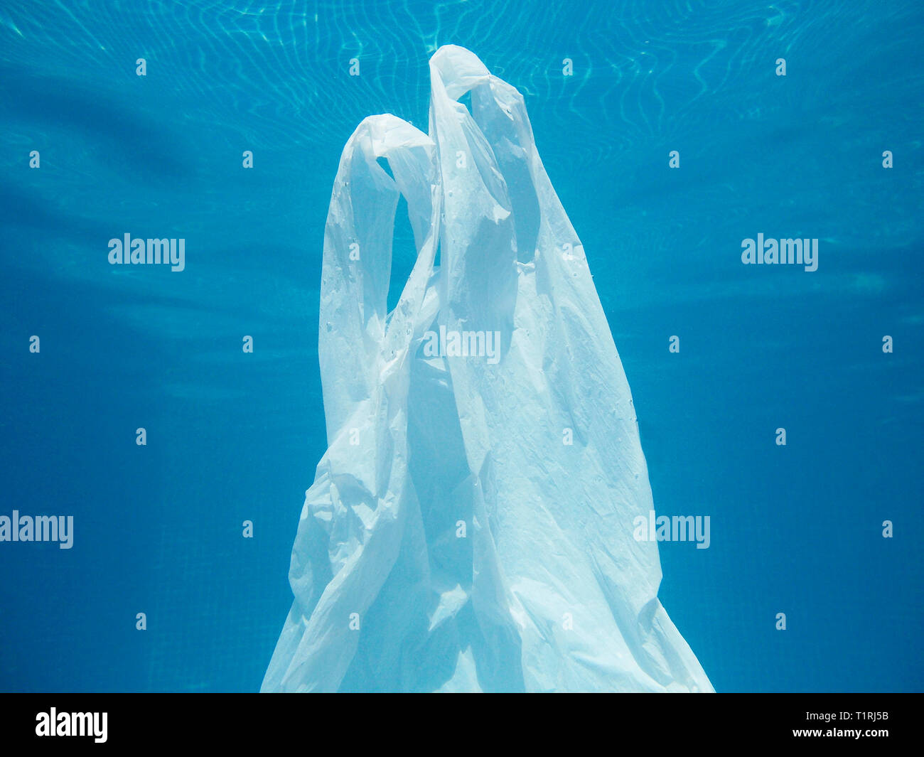 Plastic bag floating into the water. Polluted enviromental. Recycle ...