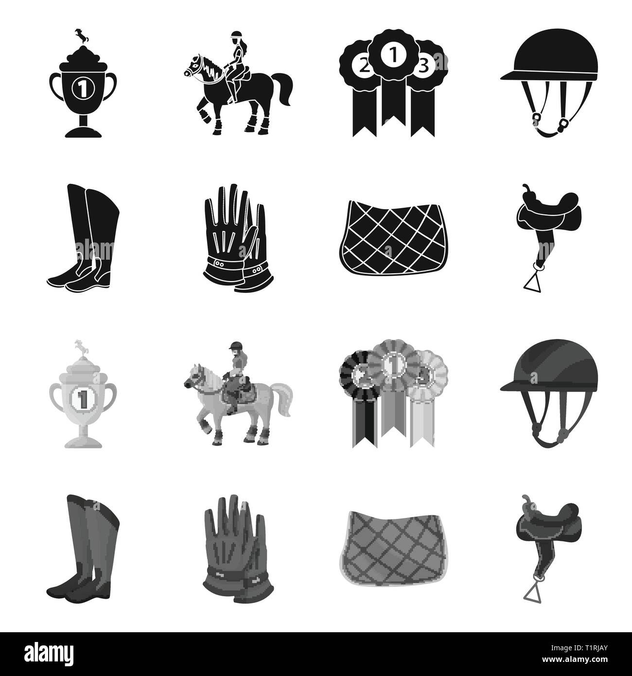 Vector design of equipment and riding symbol. Collection of equipment ...