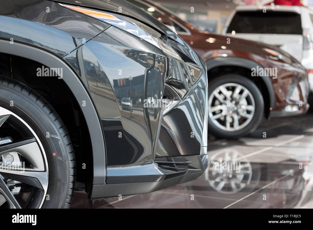 Car auto dealership. New cars at dealer showroom. Prestigious vehicles ...