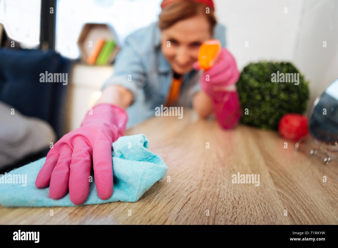 Resolute accurate woman fighting with dust in her apartment Stock Photo ...