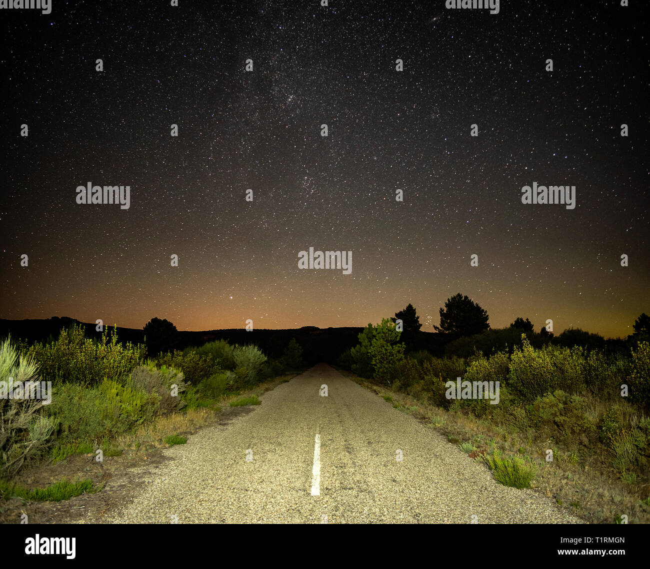 Old road in the bush at night illuminated under the stars Stock Photo ...
