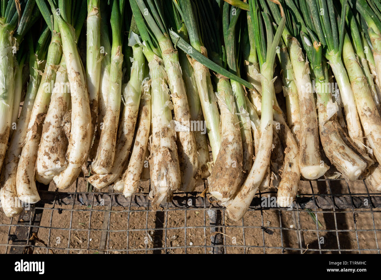 Catalonian tradition hi-res stock photography and images - Alamy