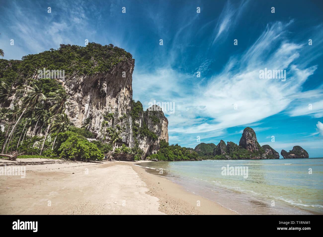 Tonsai hi-res stock photography and images - Alamy