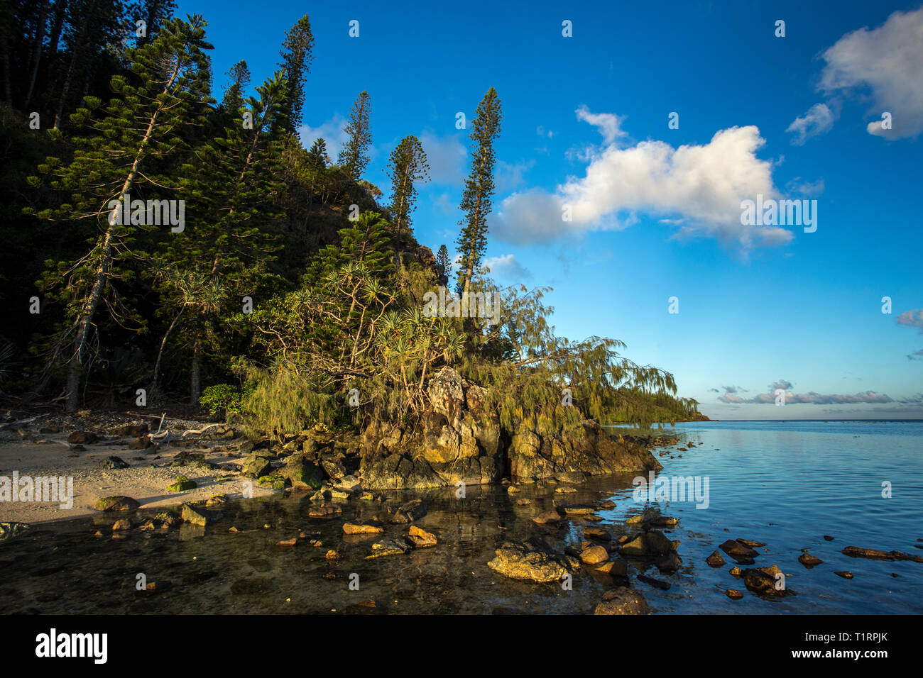 South province new caledonia hi-res stock photography and images - Alamy