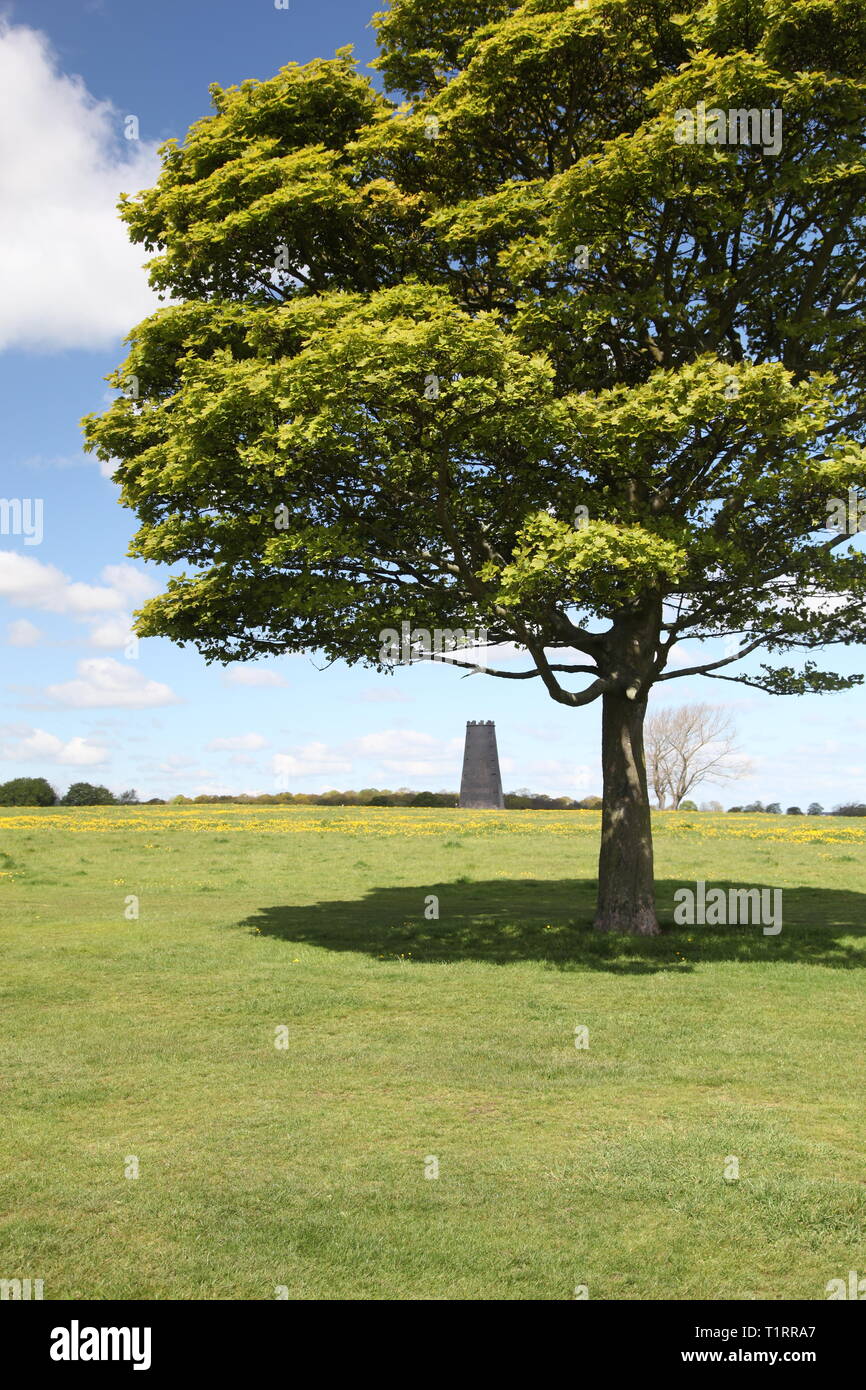 David hockney trees hi-res stock photography and images - Alamy