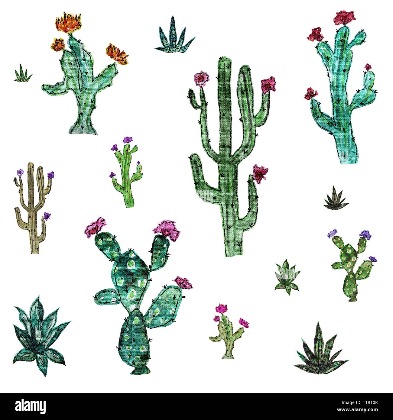 Drawn pattern set of cacti and succulent plants isolated on white ...