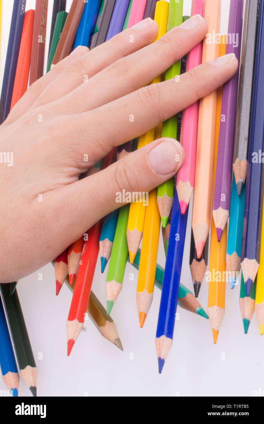 Hand holding Color pencils on a white background Stock Photo - Alamy