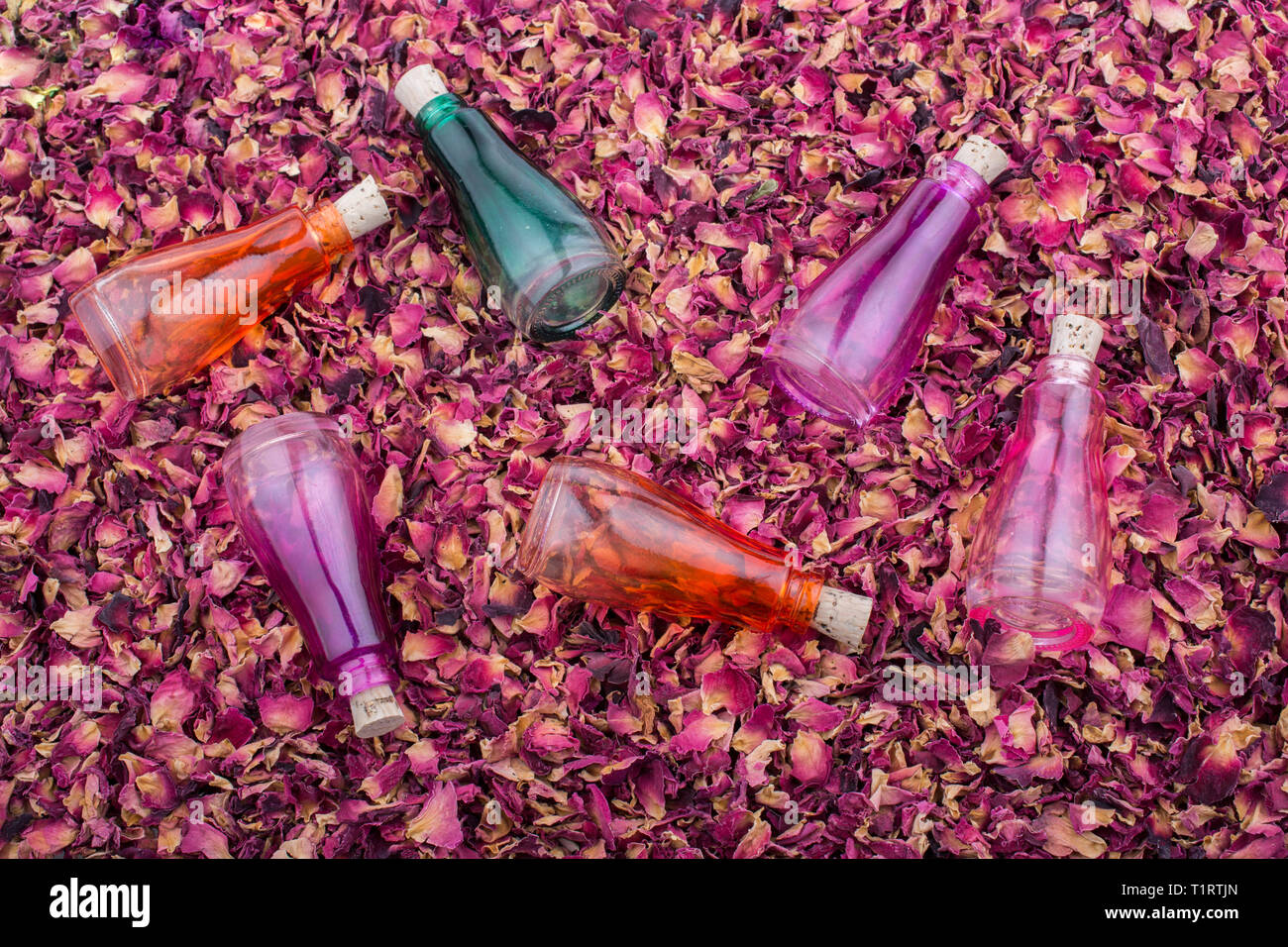 Colorful empty bottles on dry rose petal background Stock Photo - Alamy