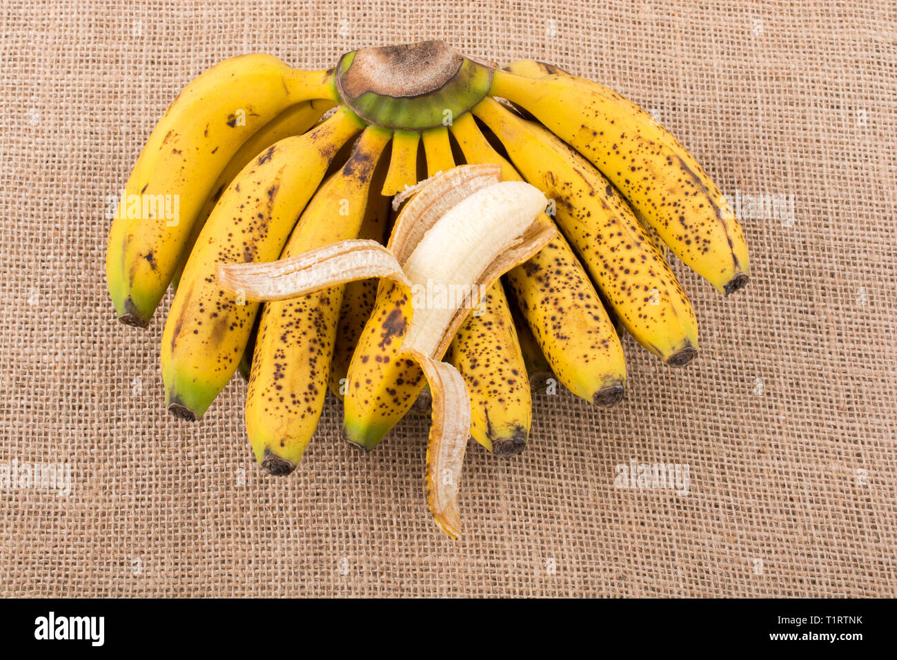Bunch of yellow freckled bananas on a canvas texture Stock Photo - Alamy Bunch of yellow freckled bananas on a canvas texture Stock Photo - Alamy