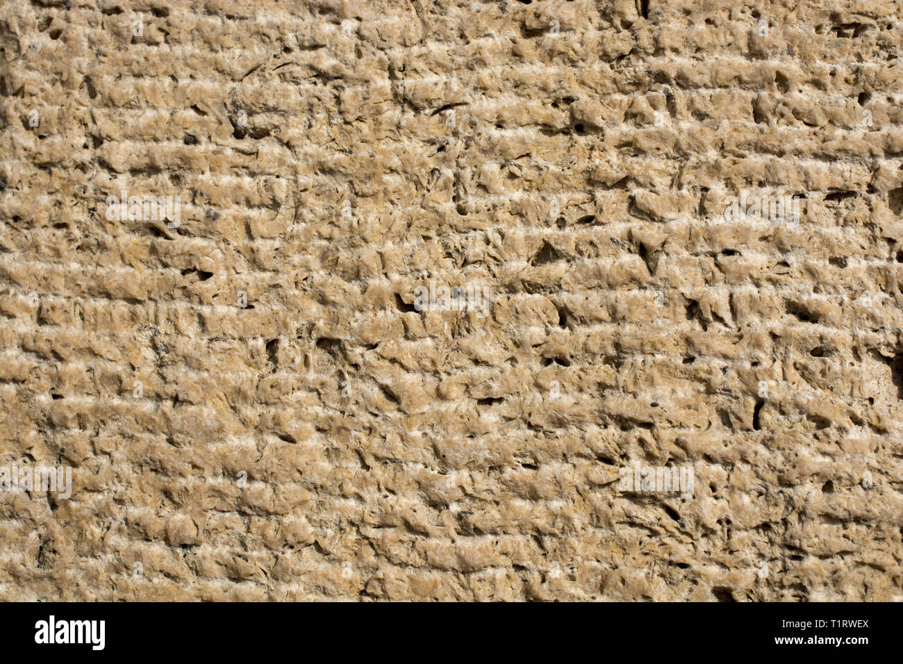 Wall surface as a simple grunge background texture pattern Stock Photo ...