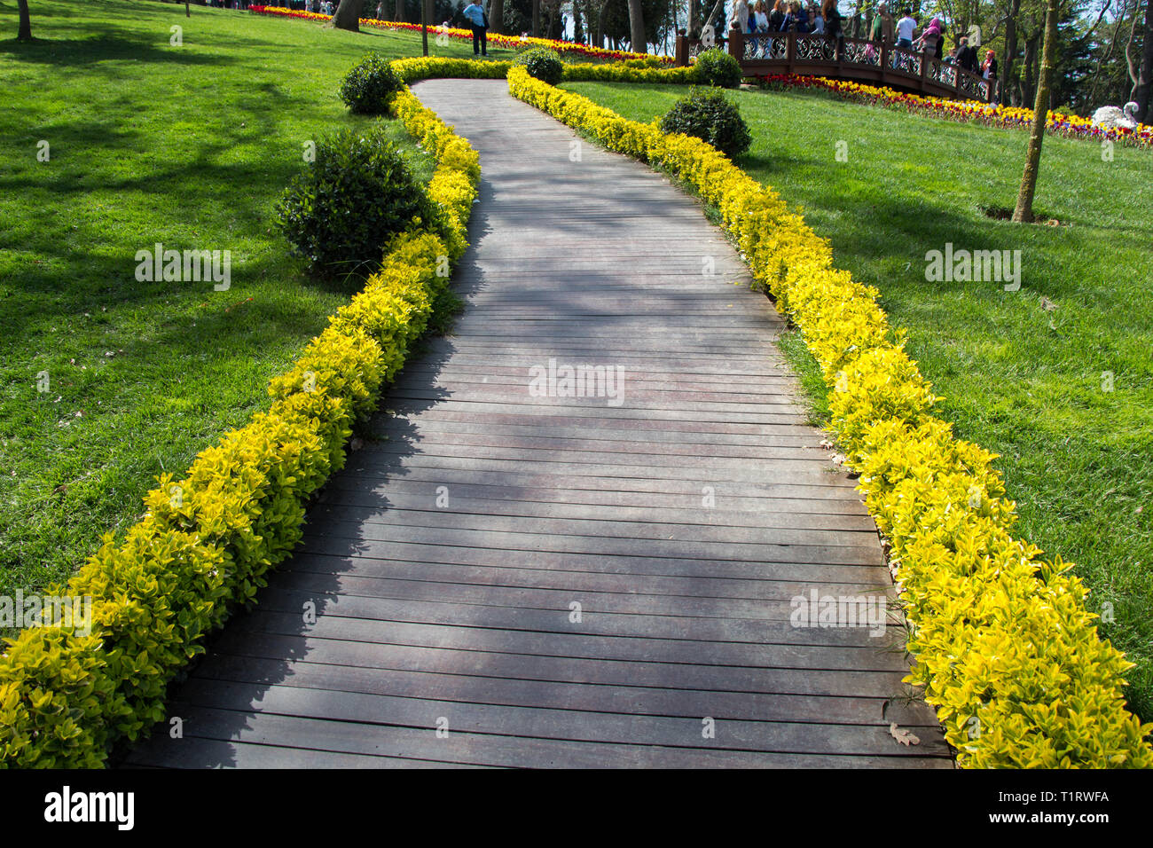 Hiking path for walking in the view Stock Photo - Alamy