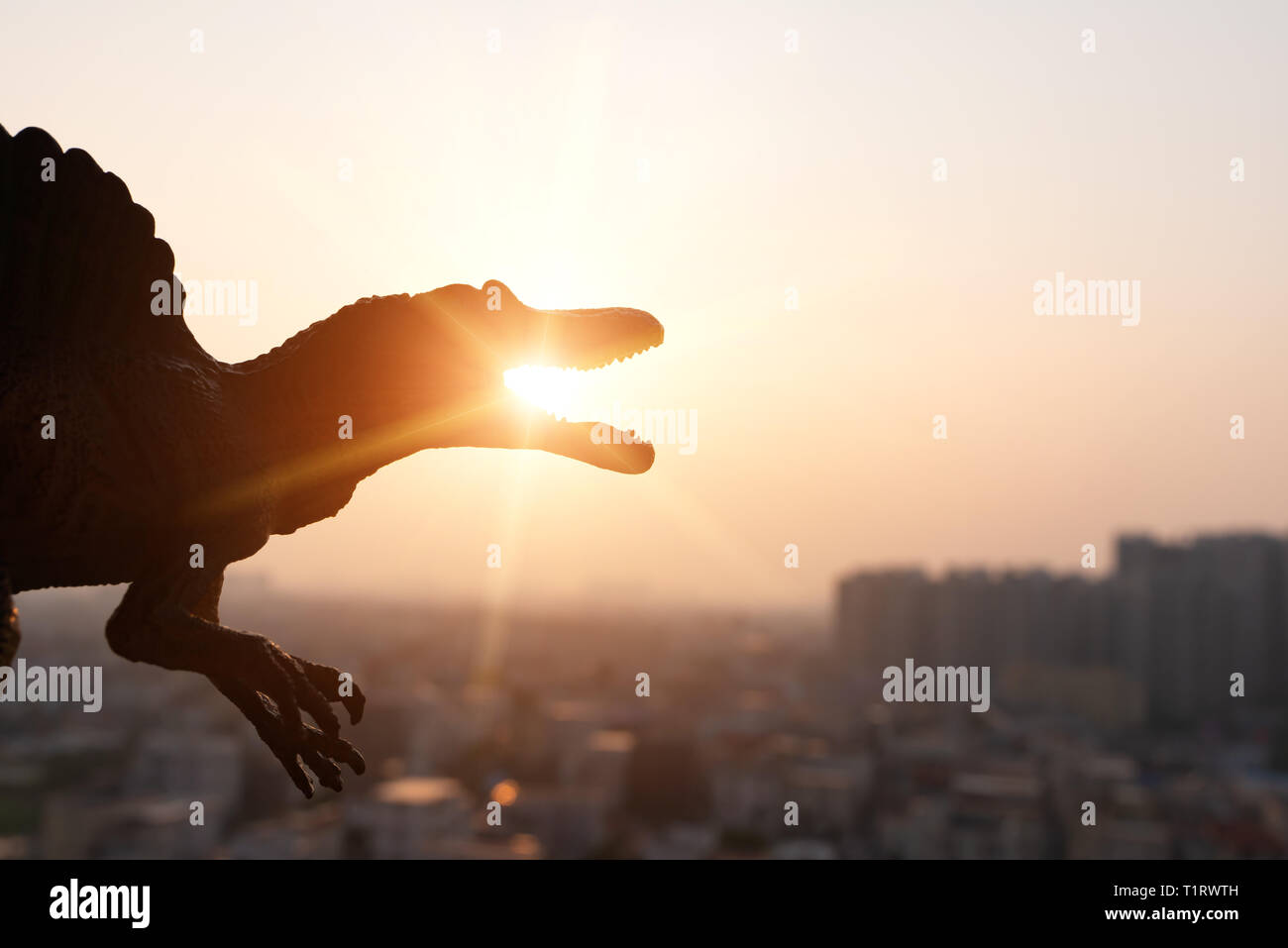 Spinosaurus silhouette hi-res stock photography and images - Alamy