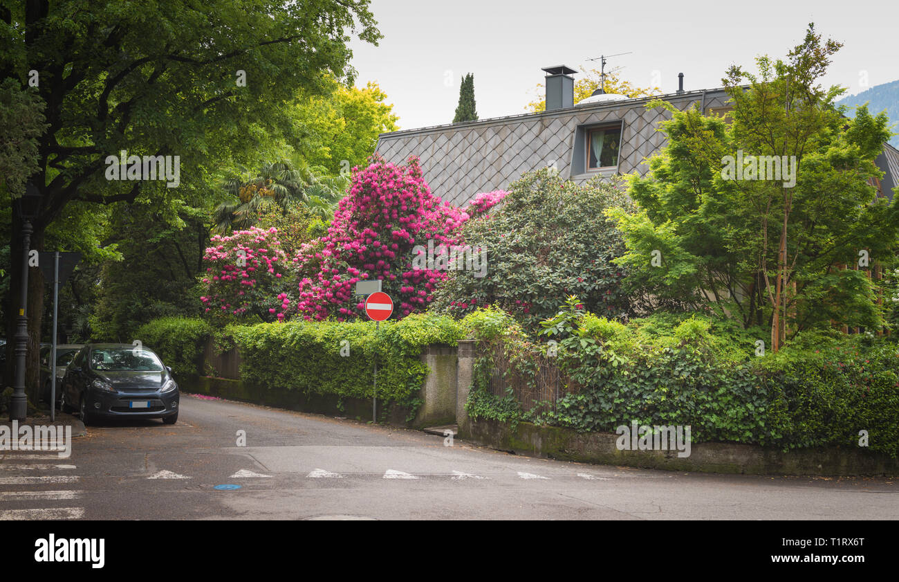 View of nice modern house in summer environment Stock Photo - Alamy