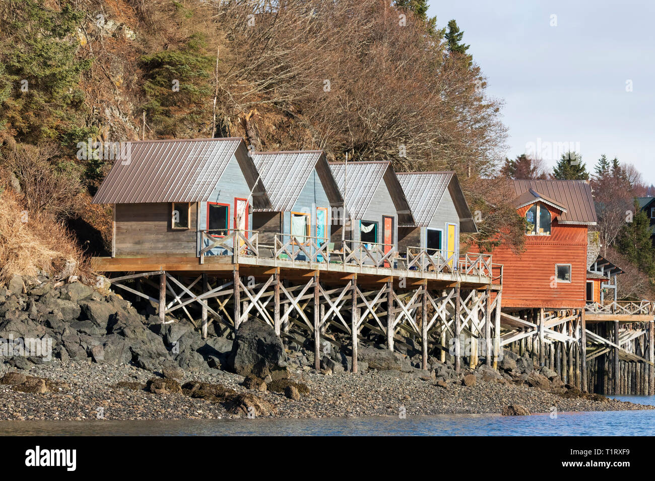 Halibut state park hi-res stock photography and images - Alamy