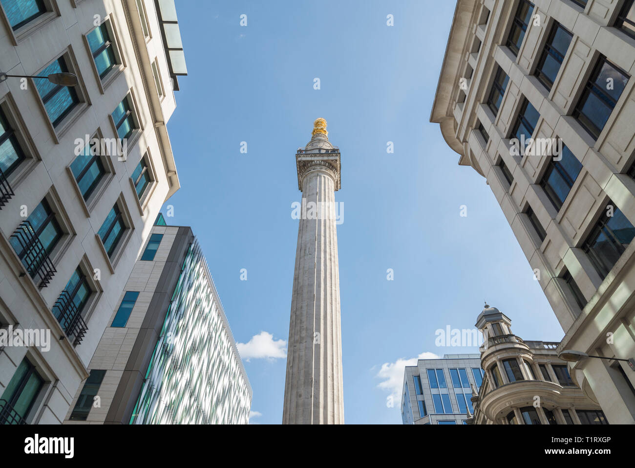 The Monument, London, UK Stock Photo - Alamy