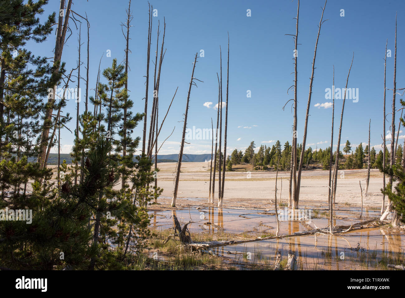 Yellowstone National Park is located in Wyoming, Montana, and Idaho. It ...