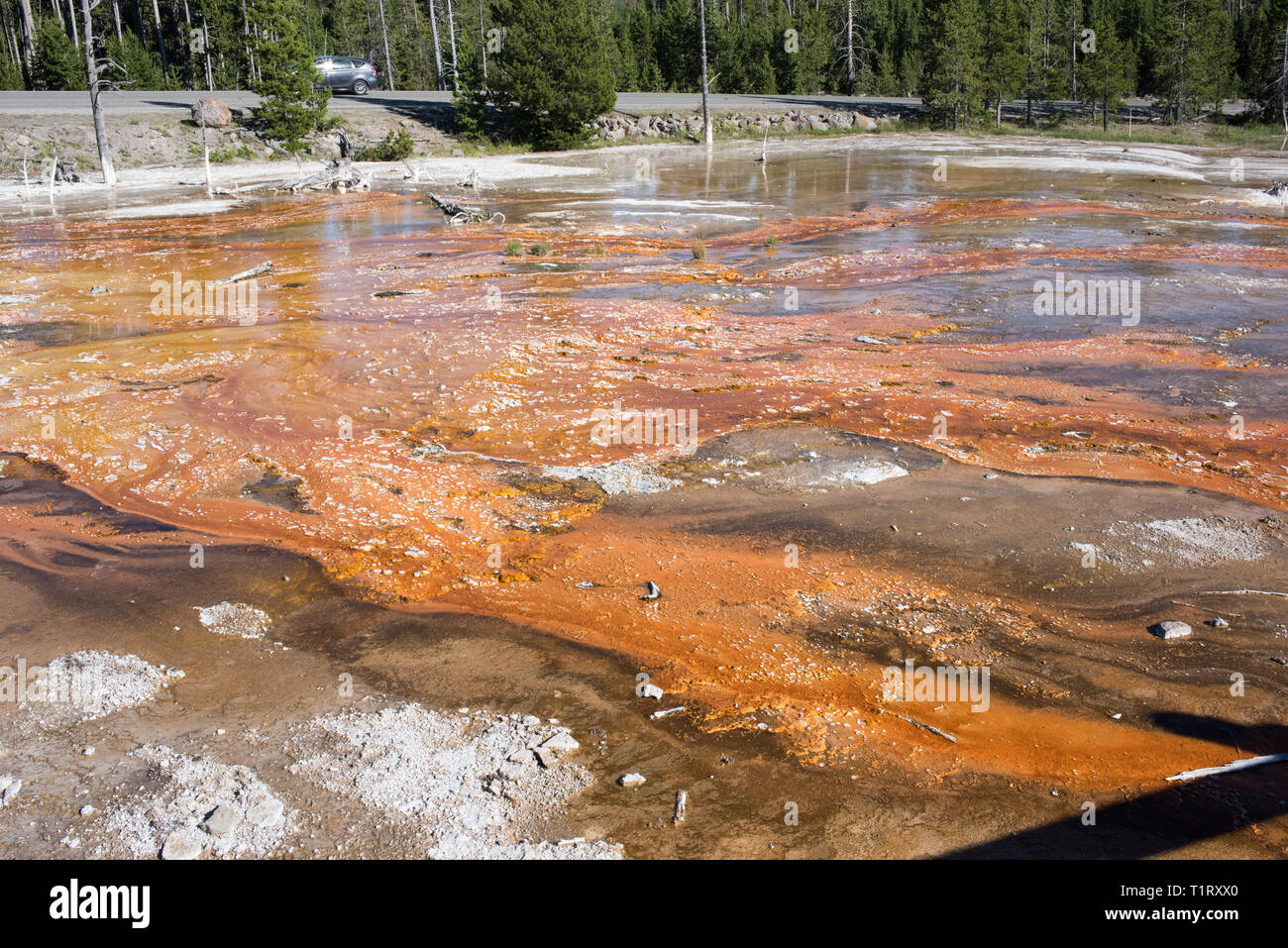 Yellowstone National Park is located in Wyoming, Montana, and Idaho. It ...
